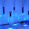 Display Stands – NY LOUNGE DECOR